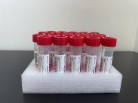 China Virus Sample Transfer Tubes , Multiple Sample Collection Tube for sale