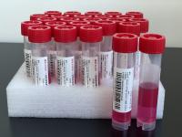 China Virus Sample Transfer Tubes , Multiple Sample Collection Tube for sale