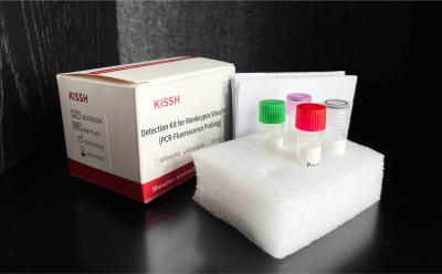 Cina Fluorescenza di PCR del corredo di rilevazione del CE che sonda per il DNA del virus di Monkeypox in vendita