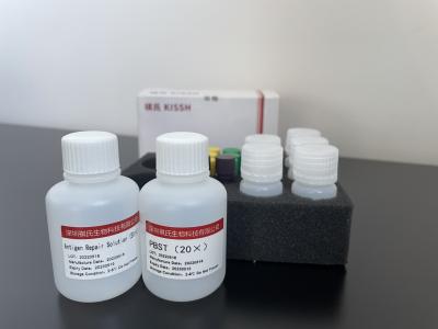 Cina Kit di rilevamento del reagente TCT per test citologico con tutti i materiali di consumo opzionali in vendita