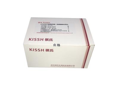 China Jogo de mancha duplo do teste de Immunoassay de Kit Keypath P16/Ki-67 da detecção de KISSH IHC à venda