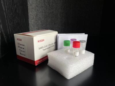 Cina Rilevazione in tempo reale acida nucleica COVID-19 della prova del tampone della gola di PCR di KISSH SARS-CoV-2 RT in vendita