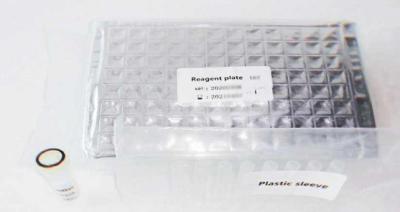 Cina Buona estrazione acida nucleica automatica Kit Magnetic Bead Method di ripetibilità KISSH in vendita