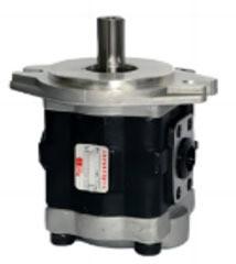 Quality High Efficiency  Cast Iron Pump Forklift Hydraulic Pump DCG05 TMG1 for sale