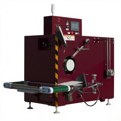 China High Efficiency Full Automatic PLC Control Coil Winding Equipment Stable Smooth For PP Electric Motor for sale