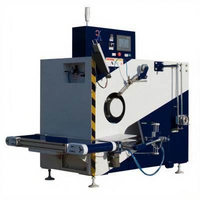 China High Efficiency Full Automatic PLC Control Stable Operation PP Electric Motor Coil Winding Equipment for sale