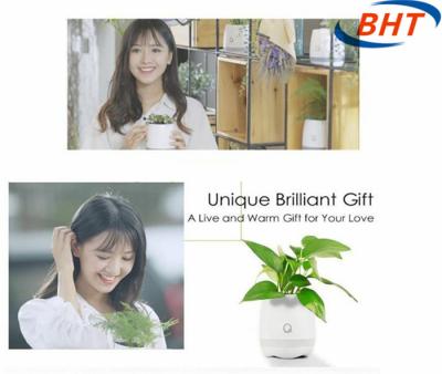 China Music Faceplate Led Flower Pots Touch Induction 12hours Playing Time Round Shape for sale