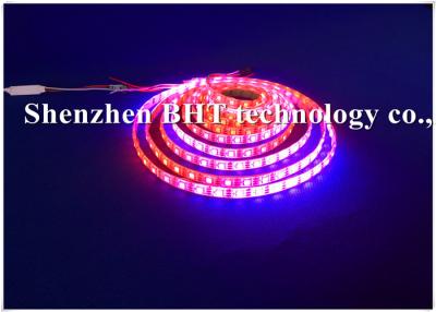 China Addressable Flowing Dimmable LED Strip 5050smd WS2812 Changeable Color With Inner IC for sale