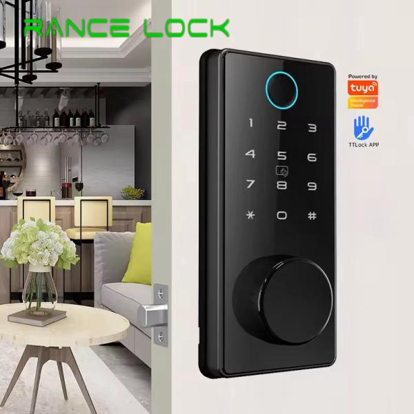 Quality APP Control Touch Screen Door Lock 35mm - 60mm Electronic Key Card Door Lock for sale