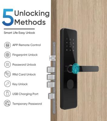 Cina Serratura per porta di casa con impronta digitale, senza chiave, Bluetooth, a catenaccio, IP65, resistente alle intemperie, ABS, metallo, alimentazione 4 batterie AA in vendita
