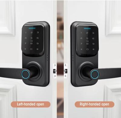 China Silicone Keypad Fingerprint Door Lock Black Digital Keyless Door Lock Electronic for sale