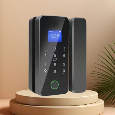 China Electronic Digital Fingerprint for Sliding Glass Smart Deadbolt Smart Lock for sale