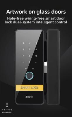 China Aplicación Tuya Biométrica Impermeable Campanilla Biométrica Cerraduras Inteligentes para Puertas de Oficina en venta