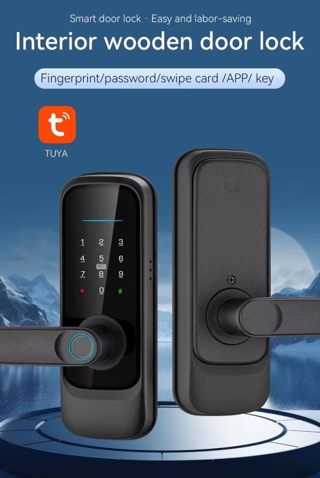 Close-up of Tuya Smart Door Lock features
