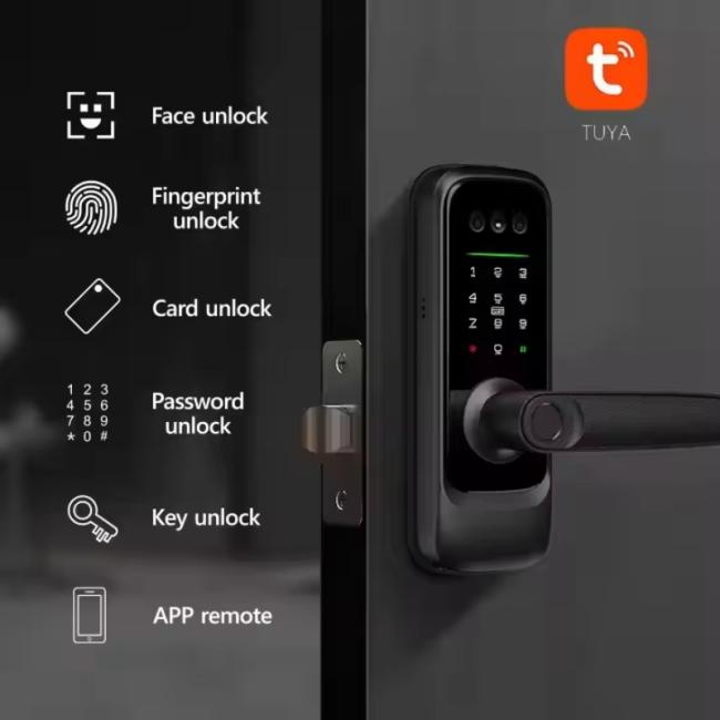 Close-up of Tuya Smart Door Lock features