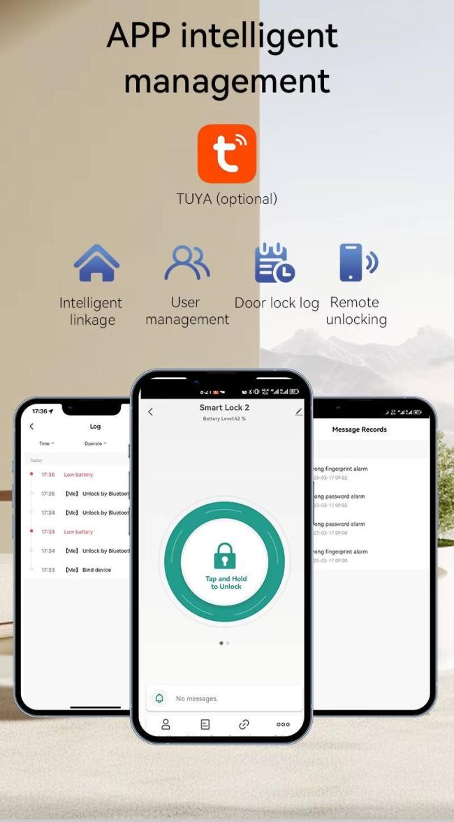 Tuya Smart Door Lock product image