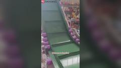 Portable Conveyor for Corn Firewood Loading
