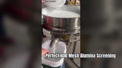 Screen 600 mesh alumina slurry using a high-frequency vibrating liquid sieve.