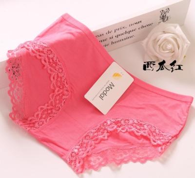China Lady Modal Lace Briefs Sexy Fashion Designs  8 Beautiful Colors Comfortable to Wear !  Hot Sale ! for sale