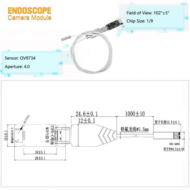 Auto Focus Endoscope Camera Module