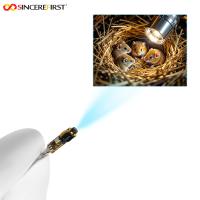 China NIR Wide Angle 1080P Sensor OV02C10 USB Endoscope Camera Module for sale