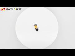 Oprechte eerste hoge pixel 20mp IMX376 Sensor Mini MIPI -cameramodule