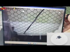 Микро USB-C 1080p HM2131 Сенсор FF Модуль камеры