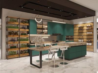 China Fadior Lotus Green Elegance: Keukenkasten van roestvrij staal voor moderne huizen Te koop