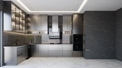 중국 패디오르 매트 블랙 스테인리스 스틸 부엌 캐비닛 판매용