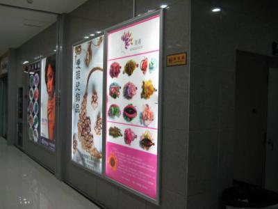 China Wallmount super slim aluminum frame led exhibition light box for sale