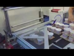 Máquinas de envasado automático para el encogimiento en PE Caja L sellador Cartón Envasador para el encogimiento térmico