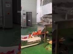 単相220Vネットバッグ切断機 散装材料の包装用