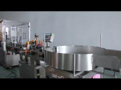 Automatische 300g 500g suiker spices poeder flessen vulmachine