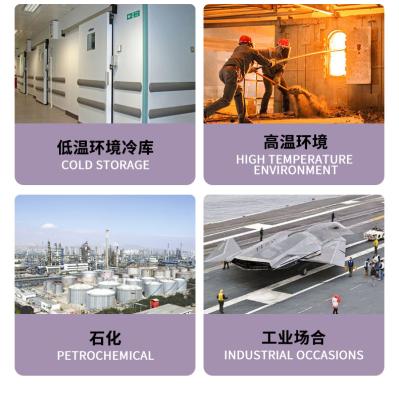 Cina Supporto OEM personalizzato UNIVO UBPT100Y Sensore digitale di temperatura dell'umidità ± 0,5 C in vendita