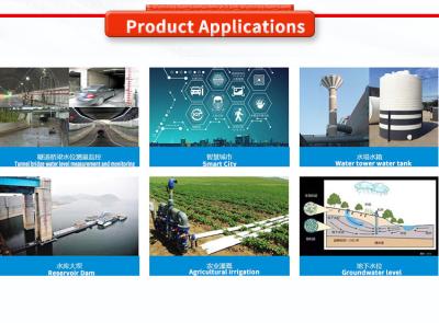 Cina Sensore di livello resistente alla corrosione personalizzato per una misurazione accurata del livello del liquido in vendita