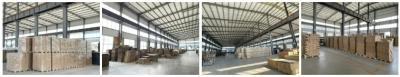 Cina Sistema di stoccaggio per garage metallo pesante in vendita