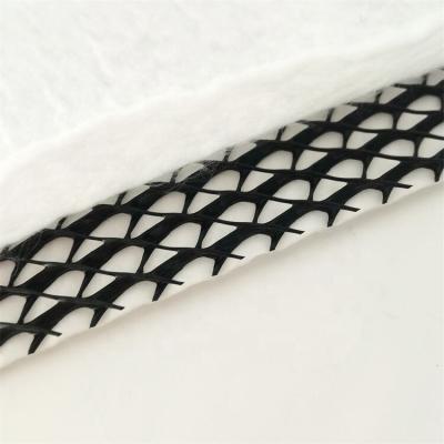 China Fast Delivery High Density Polyethylene Green Roof Basement Composite HDPE Drainage Board Protective Building Material For Sale for sale