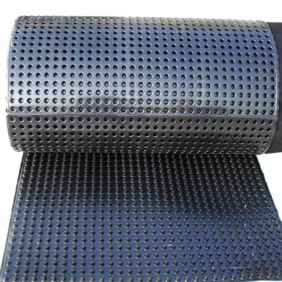 China HDPE Black Dimple Drainage Board Plastic Composite Cell Mat Board for Green Roof for sale