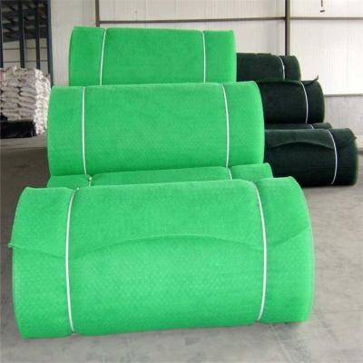 China Fast Delivery High Quality Reinforced Vegetation Net 3D Geomat Erosion Control Mat For Slope Grass Plant Protection For Sale for sale