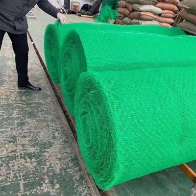 China Top Quality 3D Geomat Manufacturer Erosion Control 3D Geomat Erosion Control Blanket Turf Reinforcement Slope Erosion Control for sale