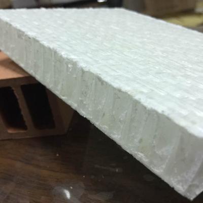 China New Product Thermoplastic Honeycomb Panels for sale