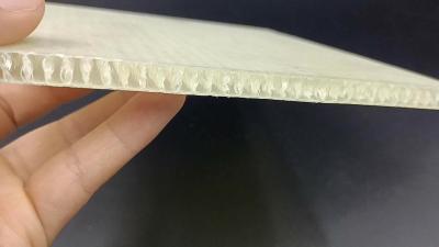 China 3d fiberglass Hermoplastic honeycomb panel for sale