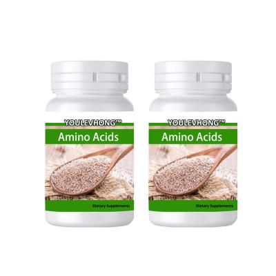 China YOULEVHONG Psyllium Husk Natrium Koolhydraten Biologisch Psyllium Husk Voor uw behoeften Voedingssupplement Natuurlijke gezondheid Te koop