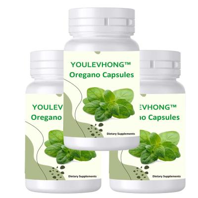 Cina Supplementi di Oregano Olio di Oregano Supporto immunitario e antiossidante Salute Supplementi naturali YOULEVHONG in vendita