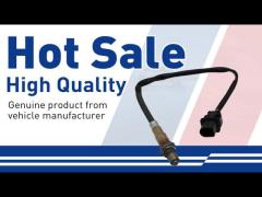 Oxygen Sensor-31293740