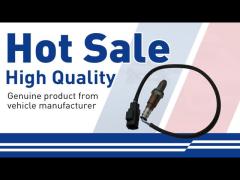 Oxygen Sensor-31439480