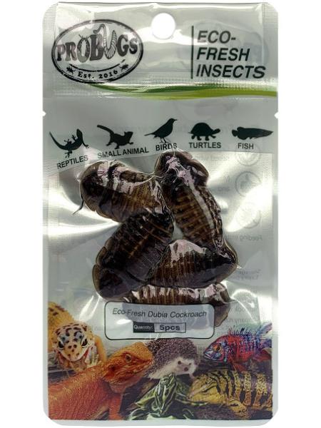Quality Eco-fresh Dubia Cockroach/dry insects/feed grade for sale