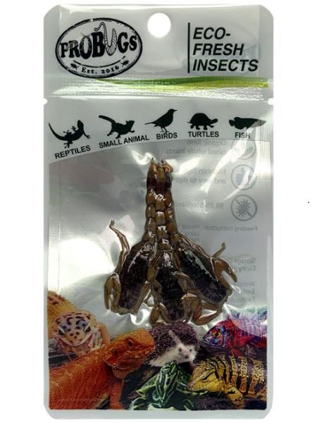 Quality Eco-fresh Scorpion/Feed grade/pet food for sale