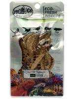 Quality Eco-fresh Superworm/protein for pet food for sale
