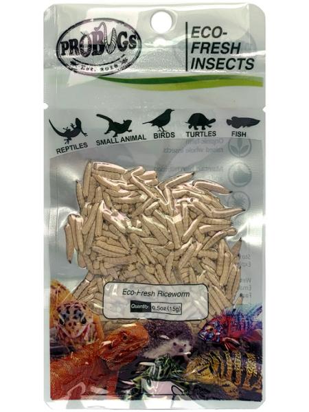 Quality Eco-fresh Riceworm/Proteinsupply for pet food /poultry food for sale